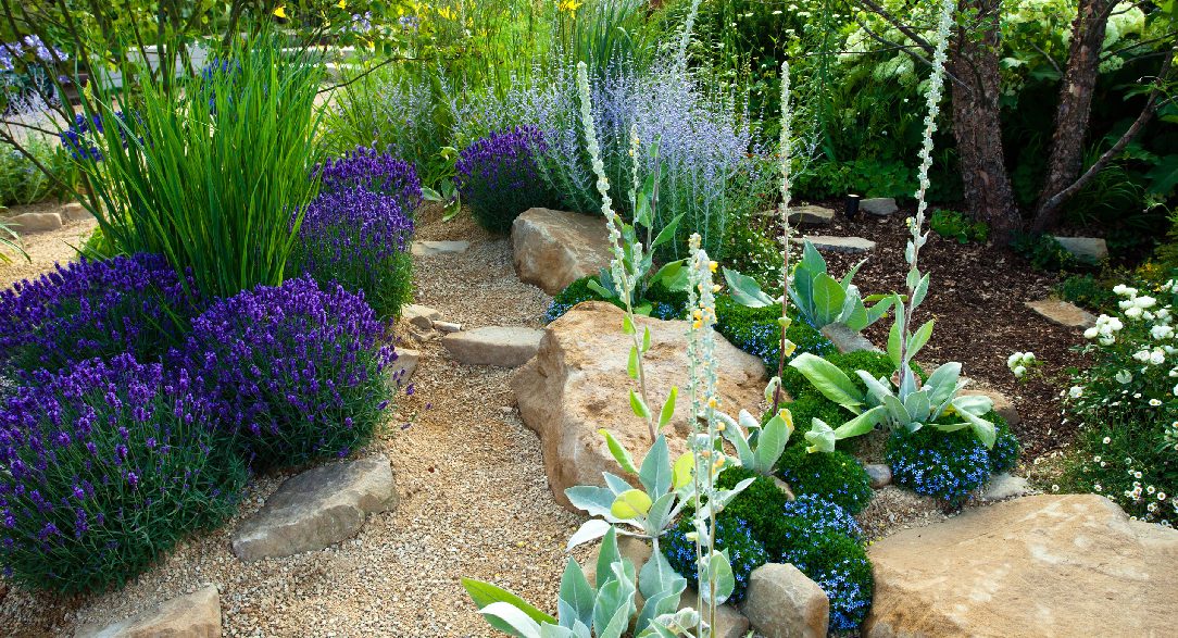 Home Page - Palmdale Water District