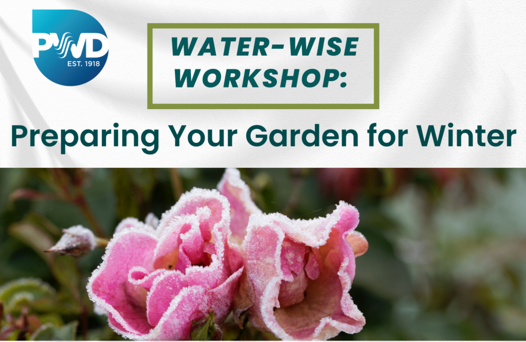 ATTEND PWD’S WATER-WISE WORKSHOP ON OCT. 10 FOR TIPS ON PREPPING YOUR ...